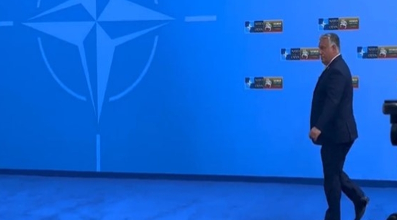 Így sompolygott ki a NATO sajtóterméből a szőrét hullató sunyi, vidéki ... Így sompolygott ki a NATO sajtóterméből a szőrét hullató sunyi, vidéki ...